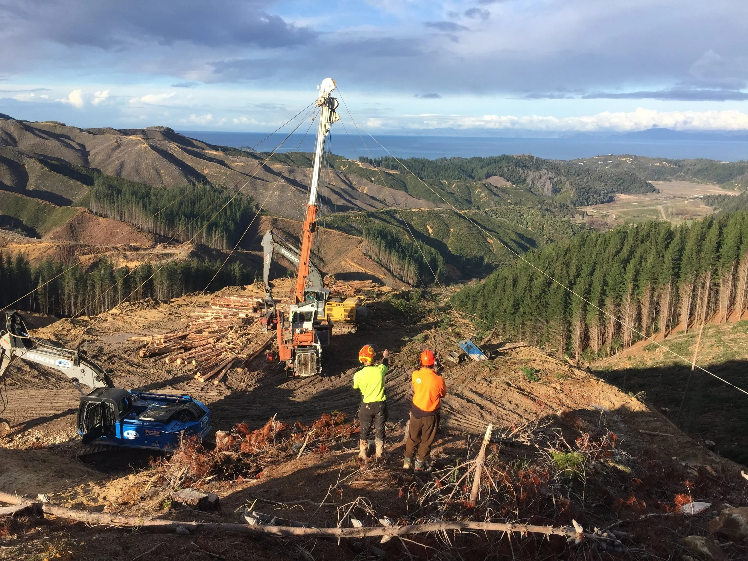 Forest Management Group