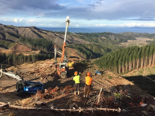 Forest Management Group