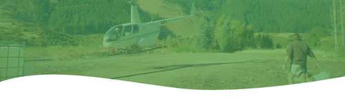 Overview — Forest Management Group