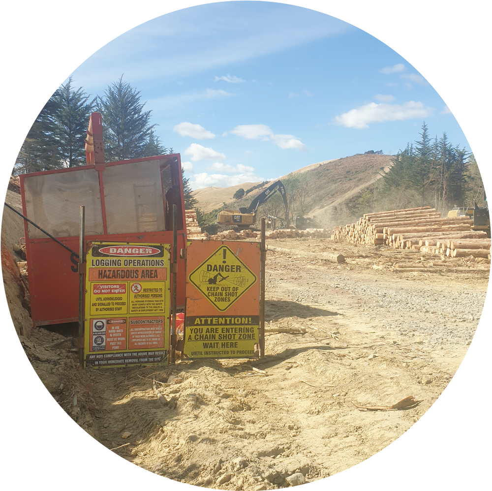 COMPLIANCE — Forest Management Group