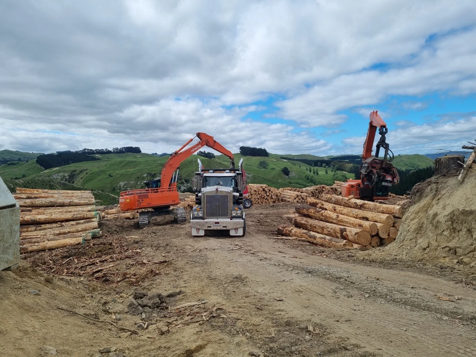 OUR NEWS — Forest Management Group
