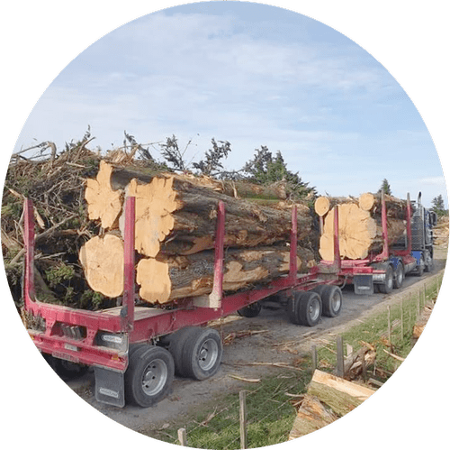 ABOUT US — Forest Management Group
