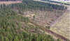 Forest Management Group