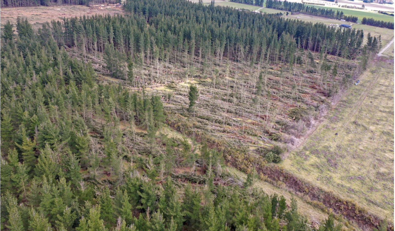 Forest Management Group