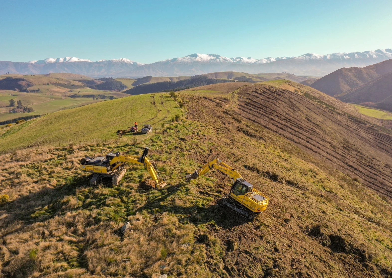 OUR NEWS — Forest Management Group