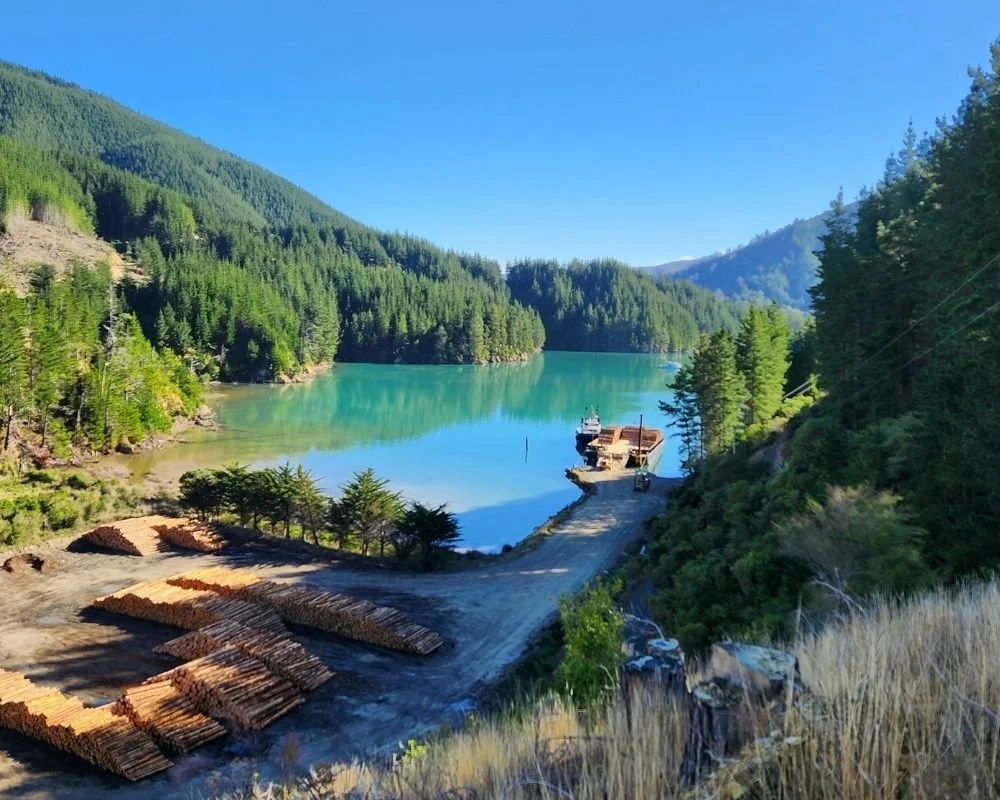 OUR NEWS — Forest Management Group