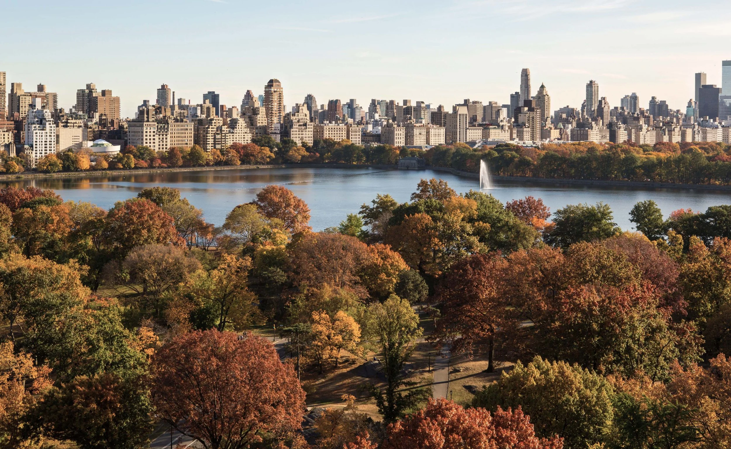 About Us — Argo Real Estate