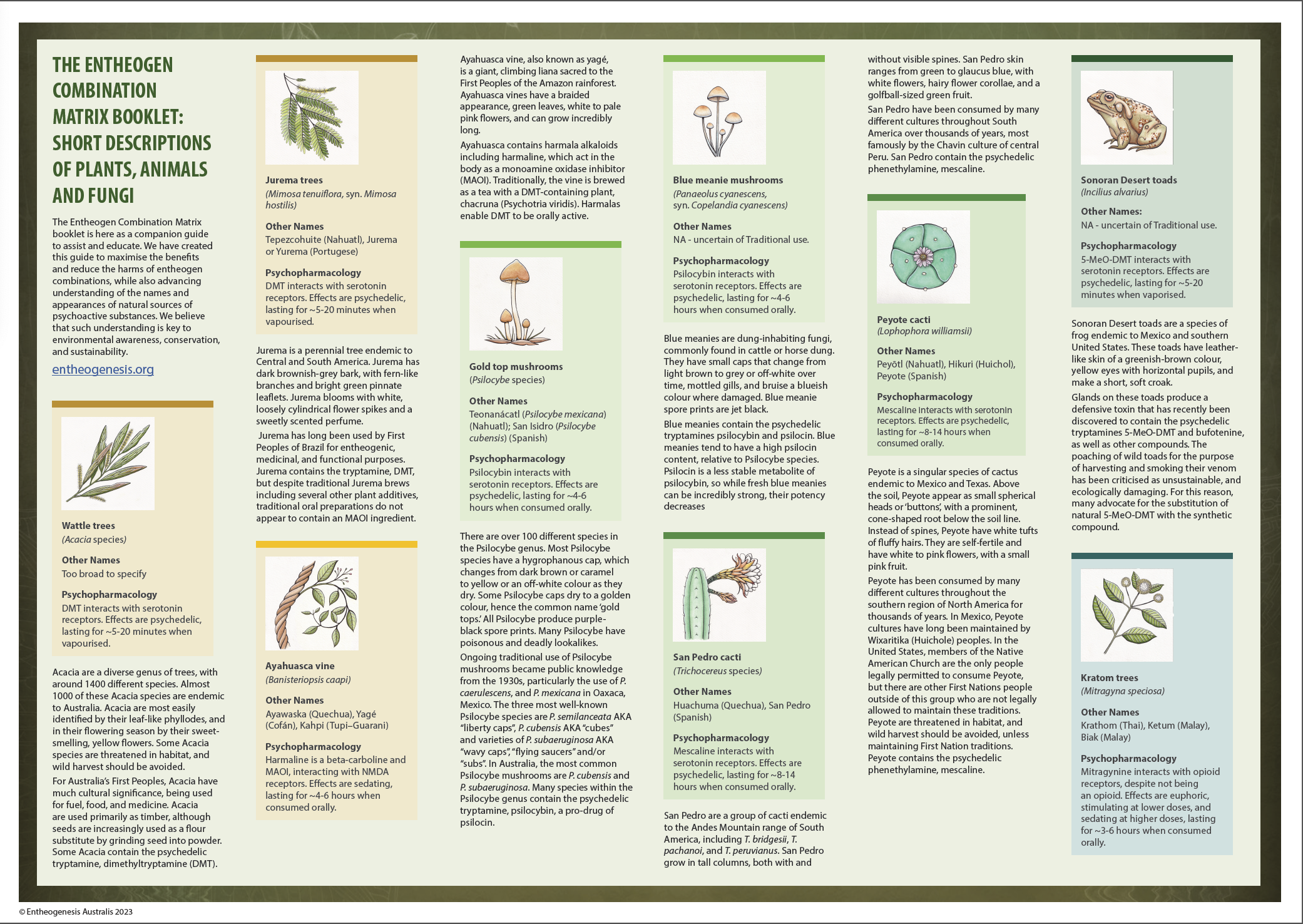 Entheogen Combination Matrix — Entheogenesis Australis