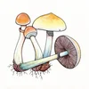 A Species Description and Reference Guide for Psilocybe cubensis ...