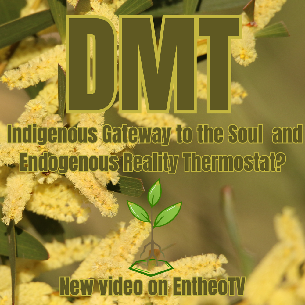 DMT: Indigenous Gateway to the Soul and Endogenous Reality Thermostat ...