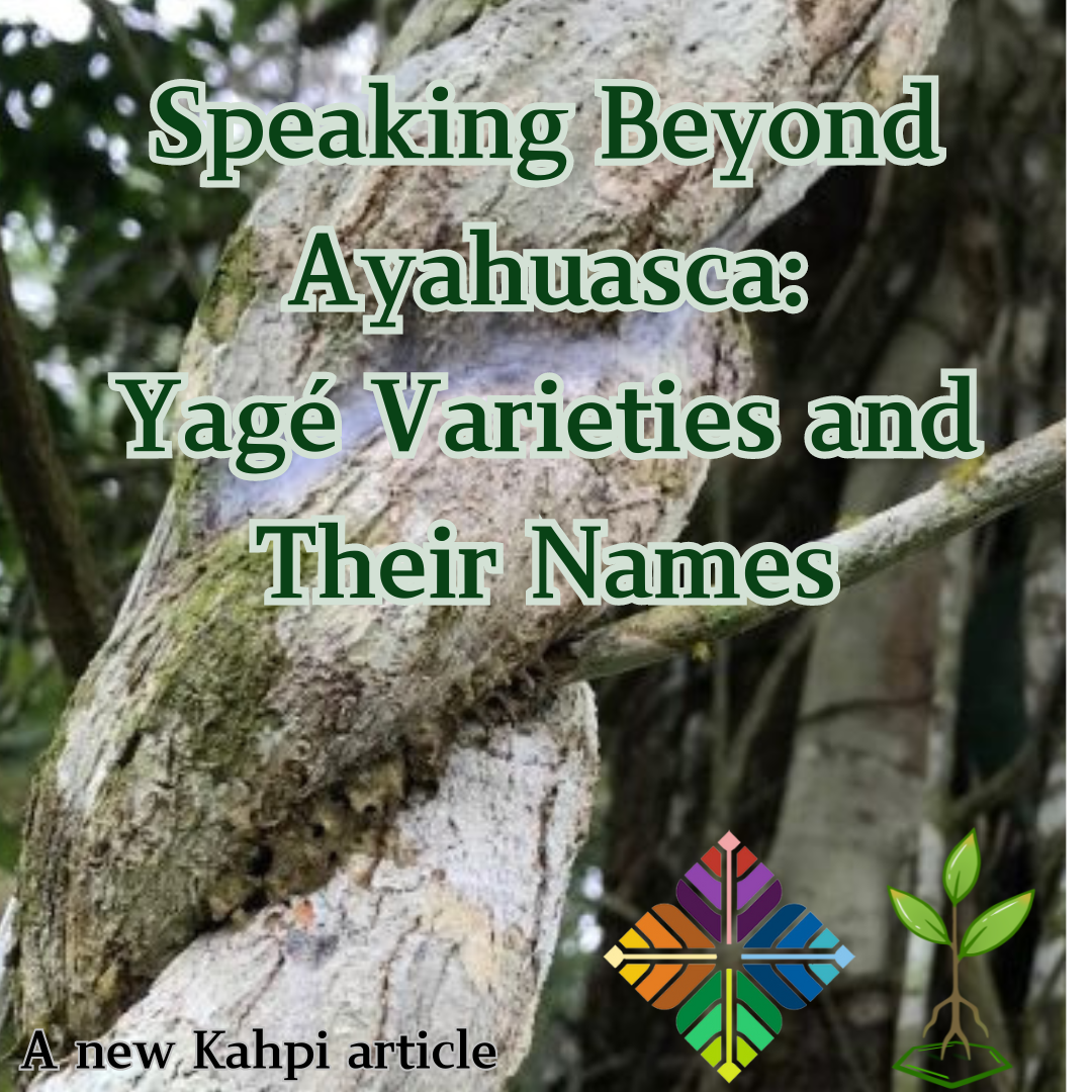 Speaking Beyond Ayahuasca: Yagé Varieties and Their Names ...