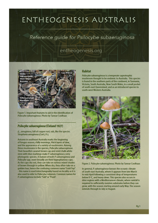 Magic mushroom season is here! — Entheogenesis Australis