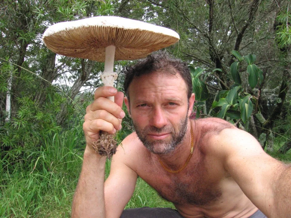 New Sun Tribe: The gift of Dan Schreiber — Entheogenesis Australis