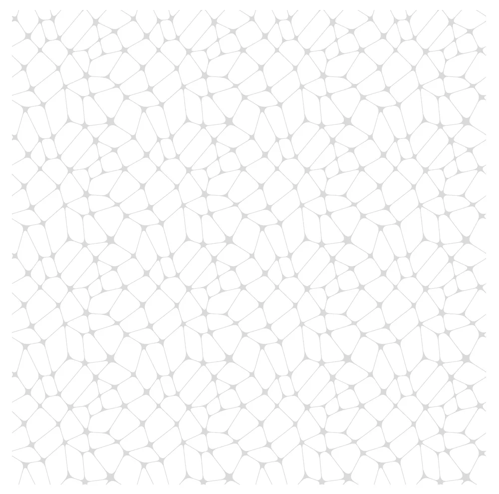 Epiprotect Ulcer — The Wound Healing Company