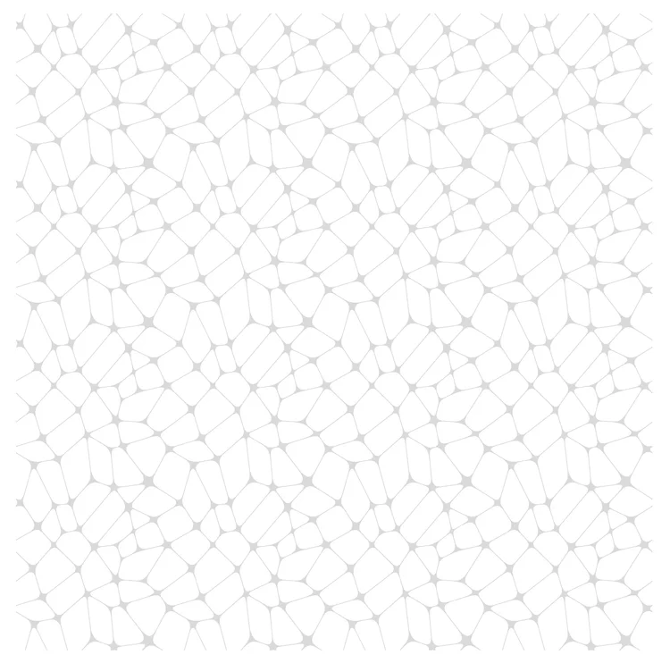 Epiprotect2117 — The Wound Healing Company