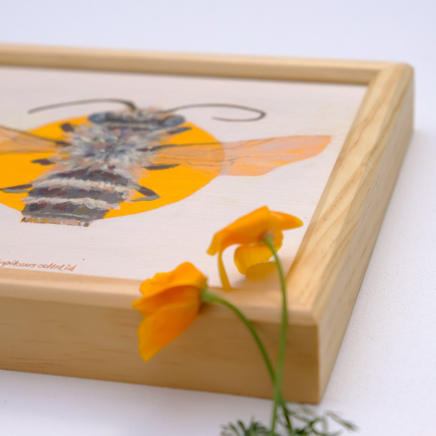 We are saving the wrong bees | Art Project — Kat Stefanova Art Studio