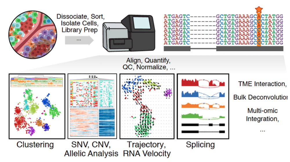 Publications — Zhang Lab