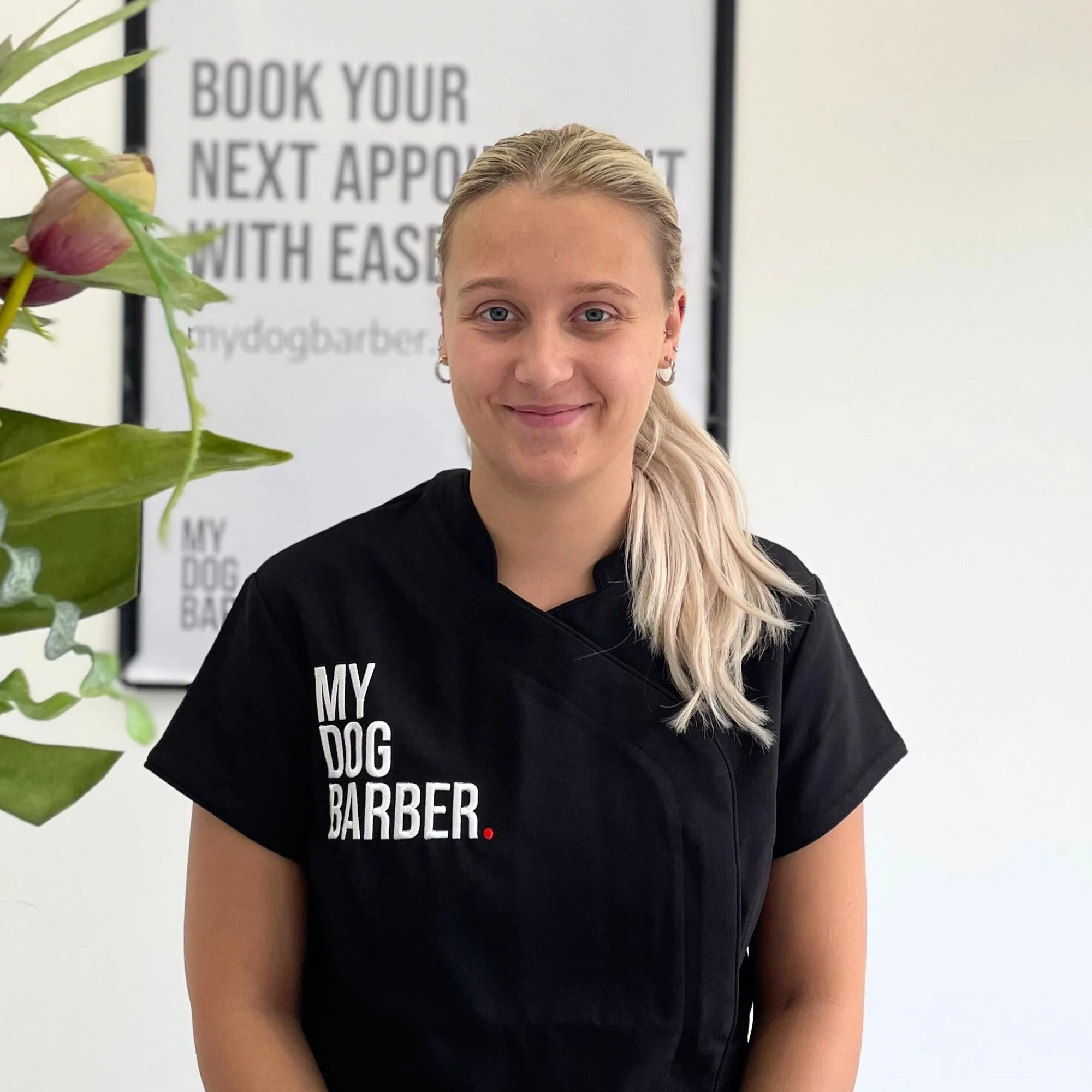 Dog Grooming Salon and Training Academy in Blaydon, Gateshead — Expert ...