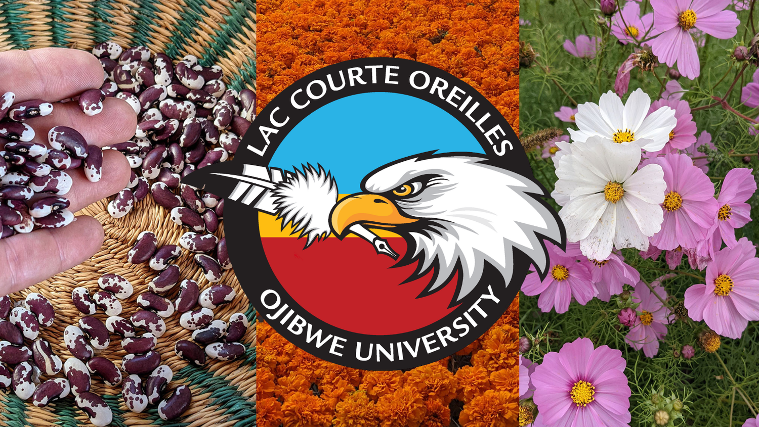 University Farm — Education for college students seeking a degree or ...