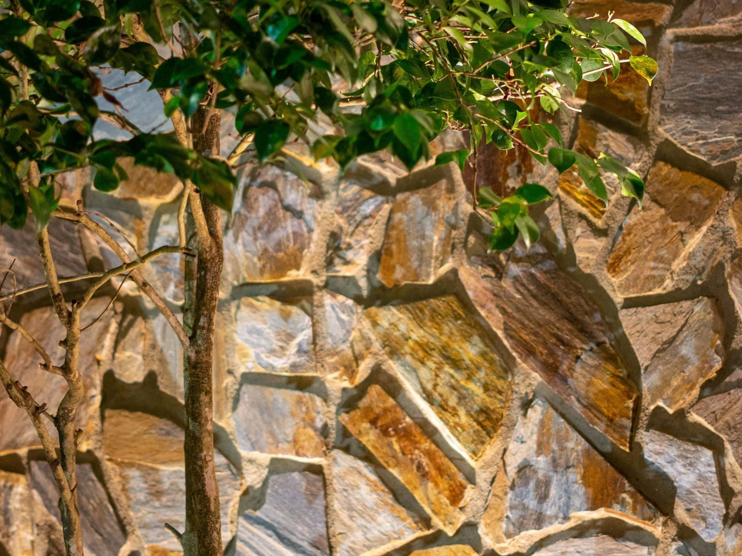 Professional Outdoor Lighting Techniques — Limelight Outdoor Lighting