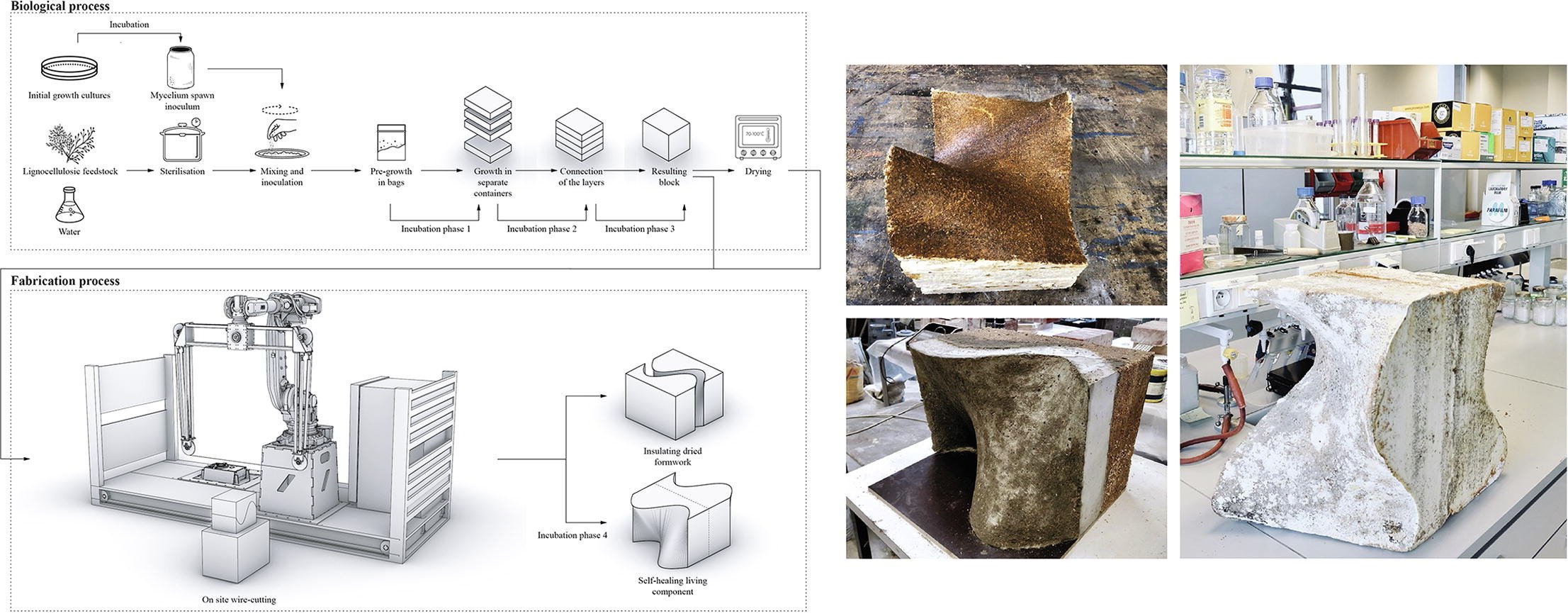 Publications — Elise Elsacker