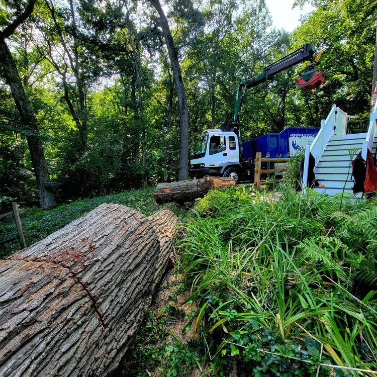 Services — Advanced Arboriculture