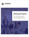 Diamond Teams for Financial Adviosrs — Herbers & Company