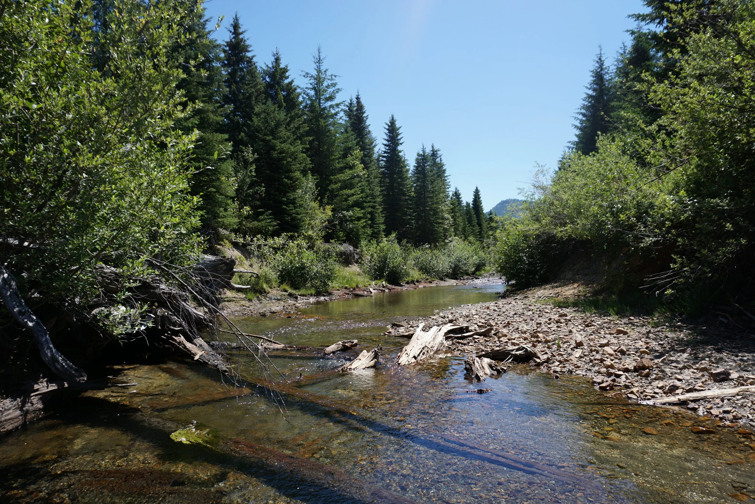 BREAKING: NEW EFFORTS TO DEVELOP A MINE ONCE AGAIN THREATEN MOUNT ST ...