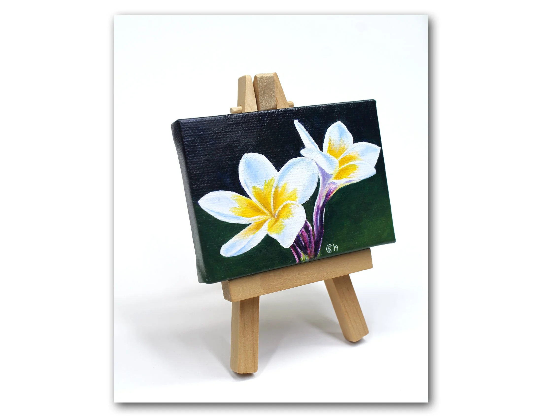 Sandrine's Gallery Shop — Sandrine's Gallery