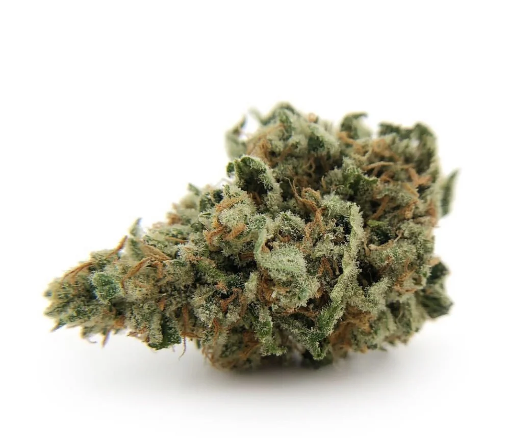 Khush Kush Cannabis Strains | Indica, Sativa & Hybrid | Washington