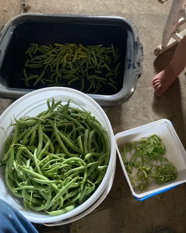 Canning with kids — Benoit Family Farmstead
