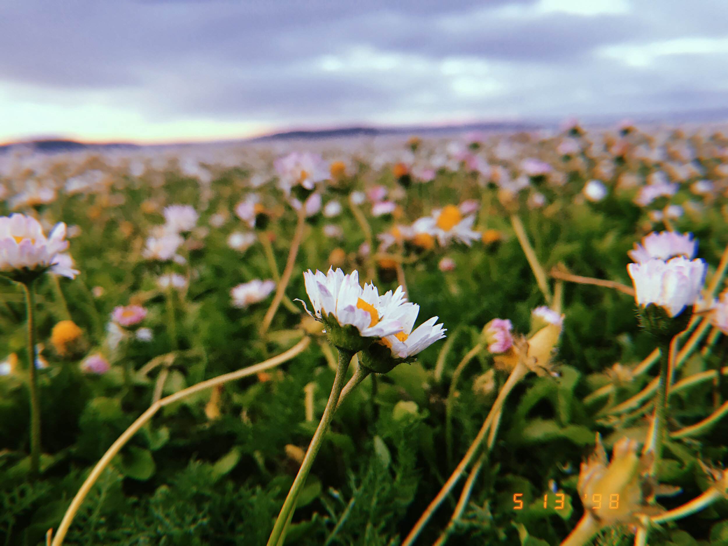 Collective Liberation in Practice