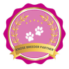 Labradoodles and Bordoodle Breeder NSW