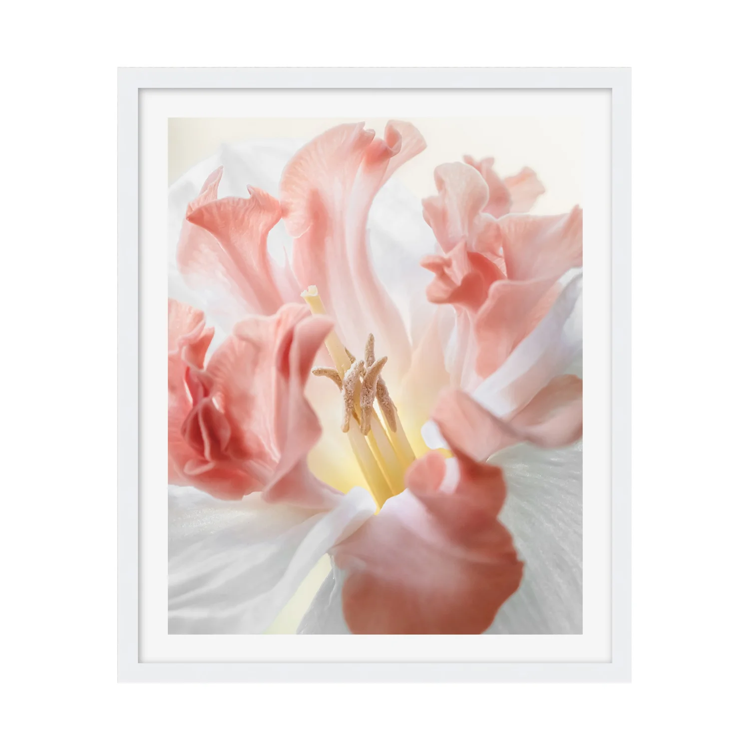 Limited Edition Prints — Floral Greeting Cards & Fine Art Prints ...