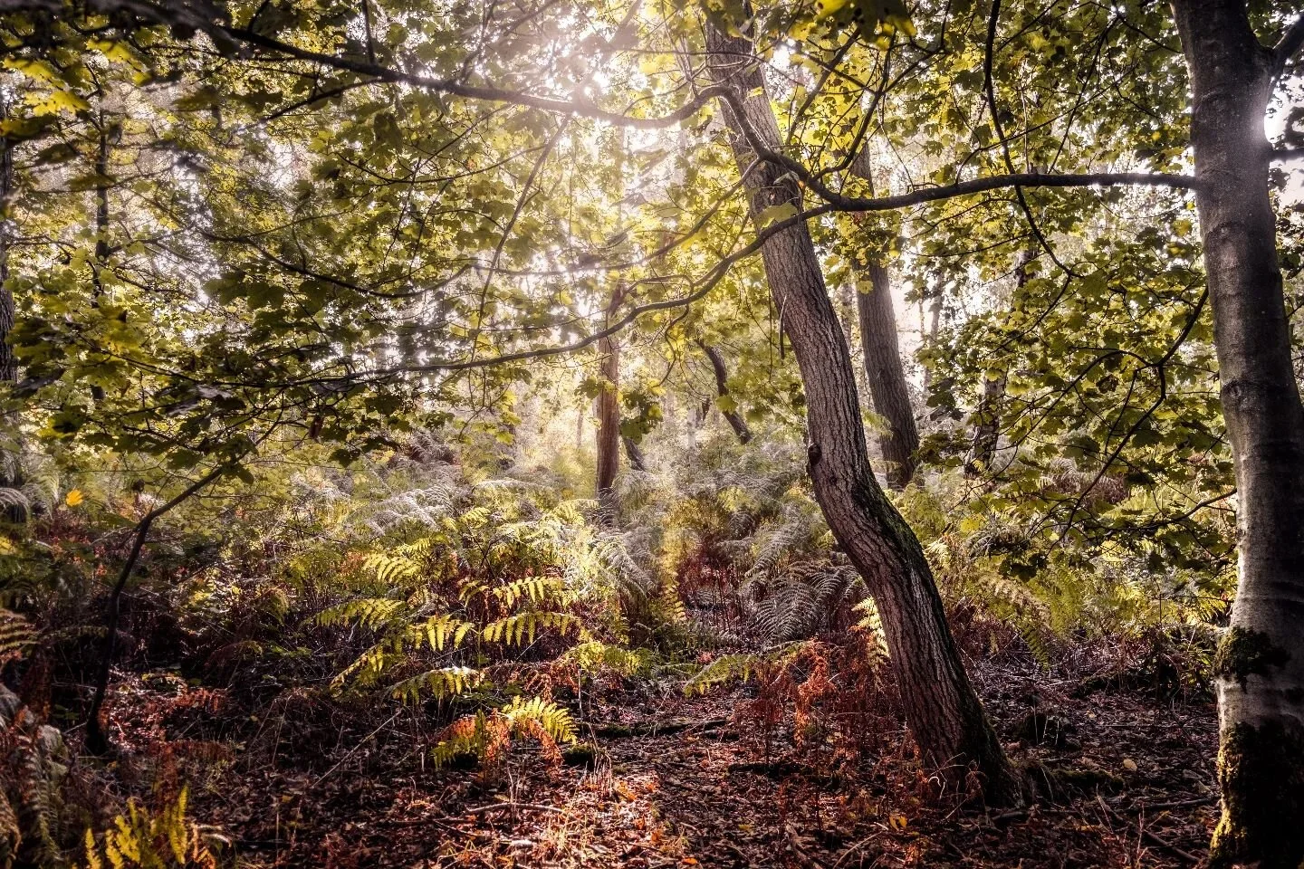 Marina Walker - Photographer