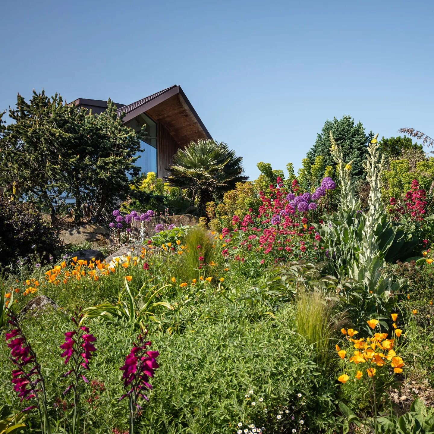 Marina Walker - Photographer