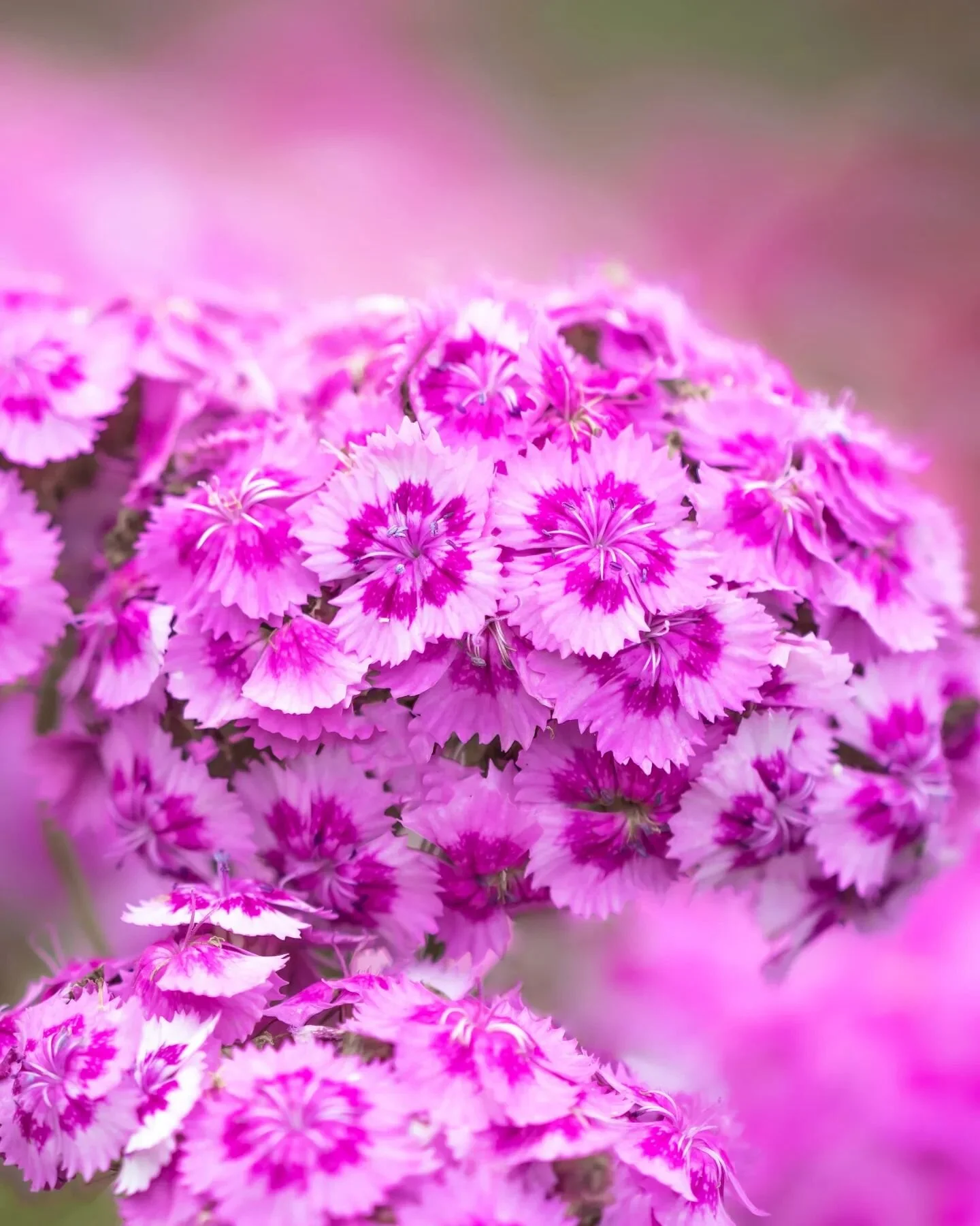 Marina Walker - Photographer