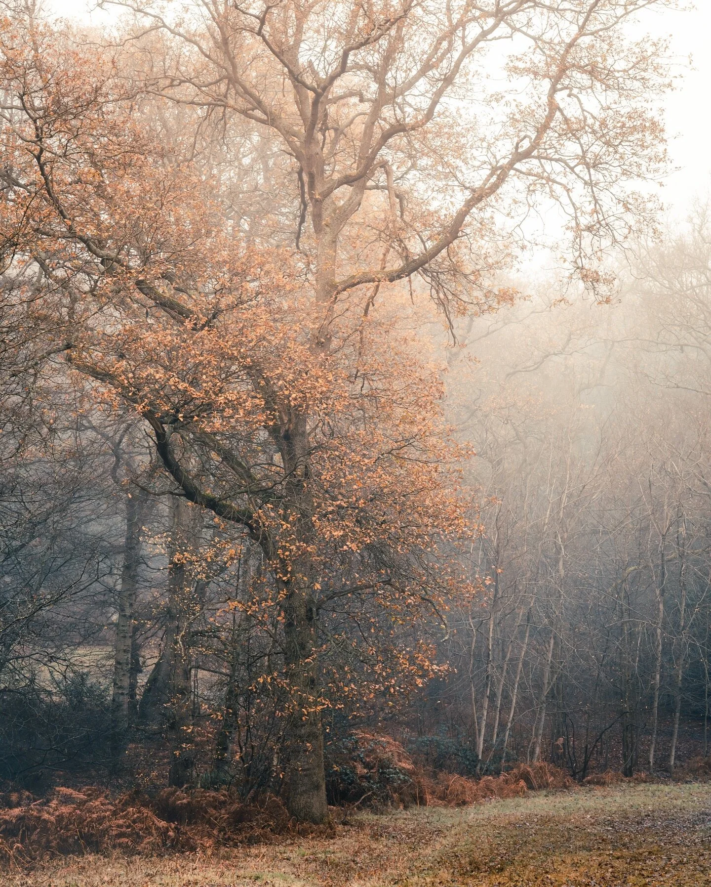 Marina Walker - Photographer