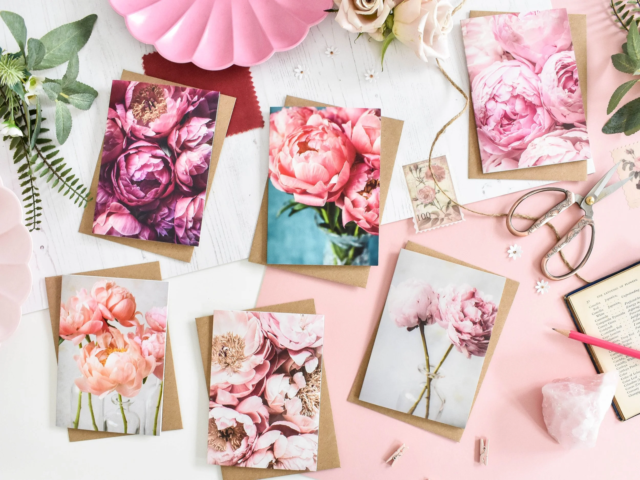 Marina Walker | UK Garden Photographer