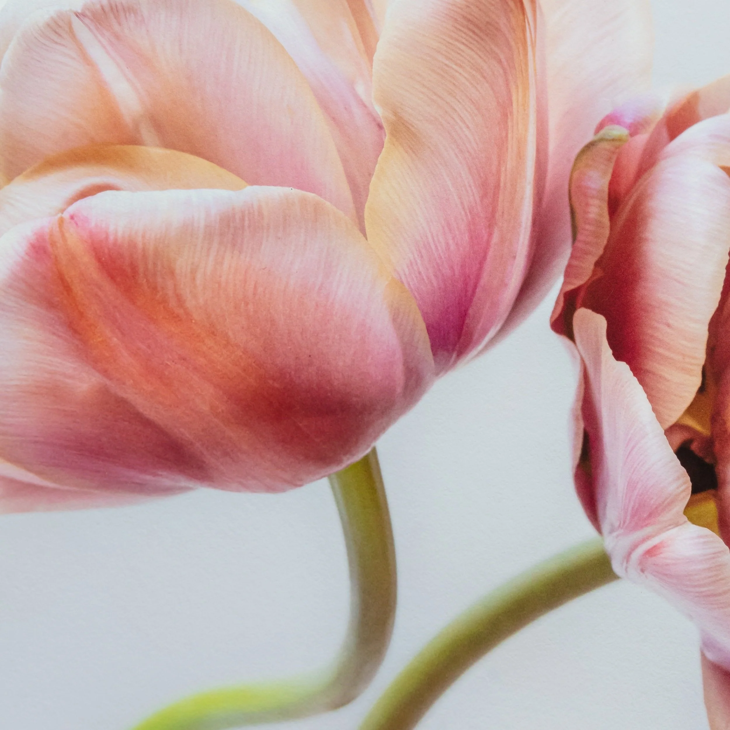 Shop — Marina Walker