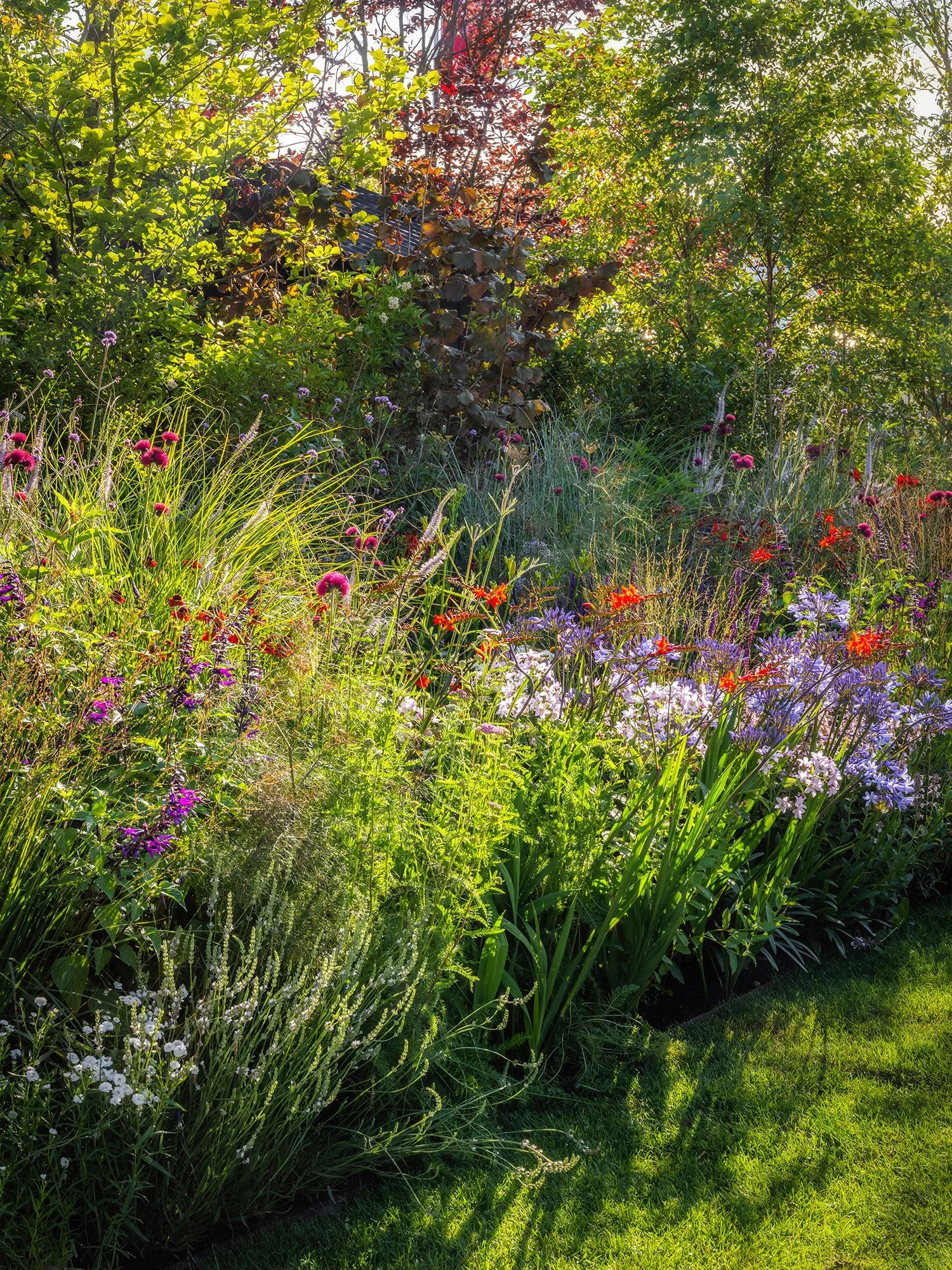 Garden Photography - Professional Garden Photographer | Marina Walker