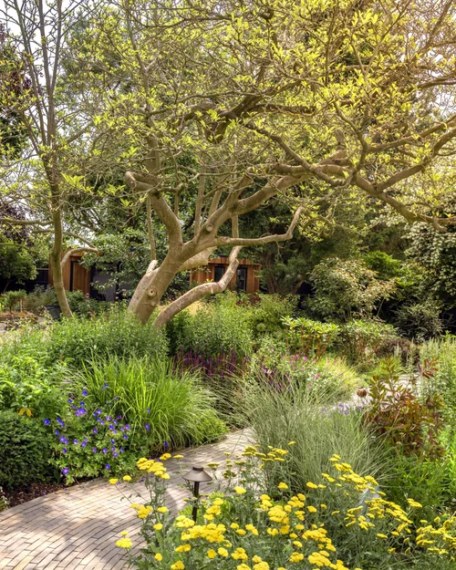 Marina Walker | UK Garden Photographer