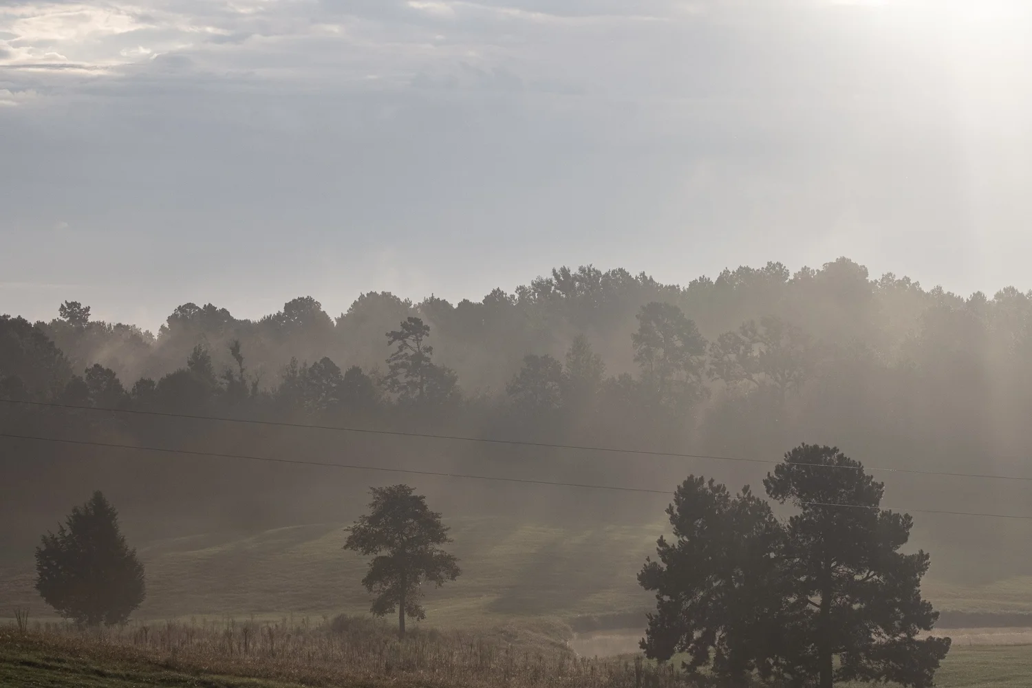 East Texas RV Park, Cabins, and Camping — Yellow Rose Canyon