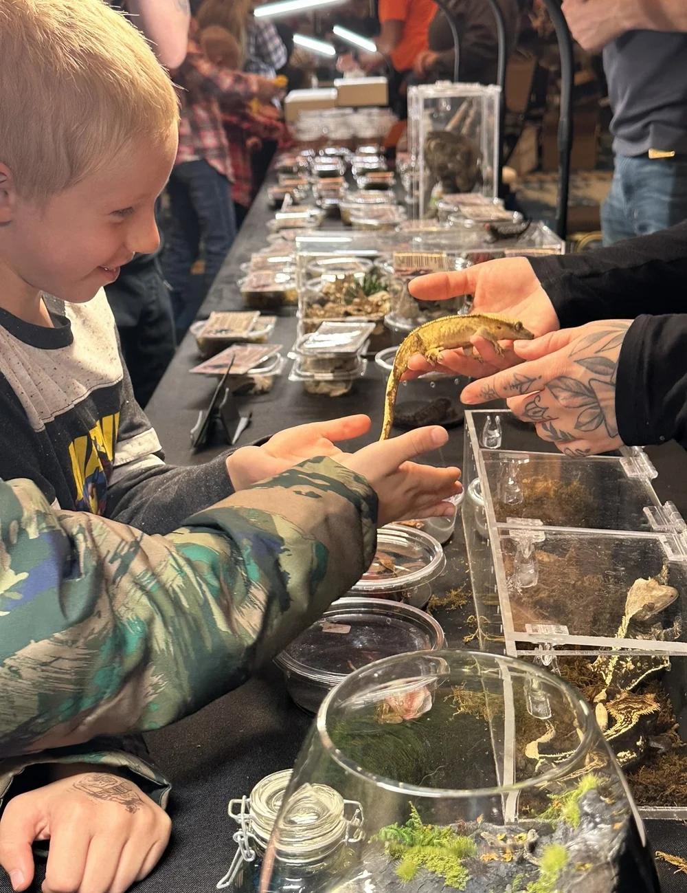 Madison, WI — Scaled Up Reptile Expo