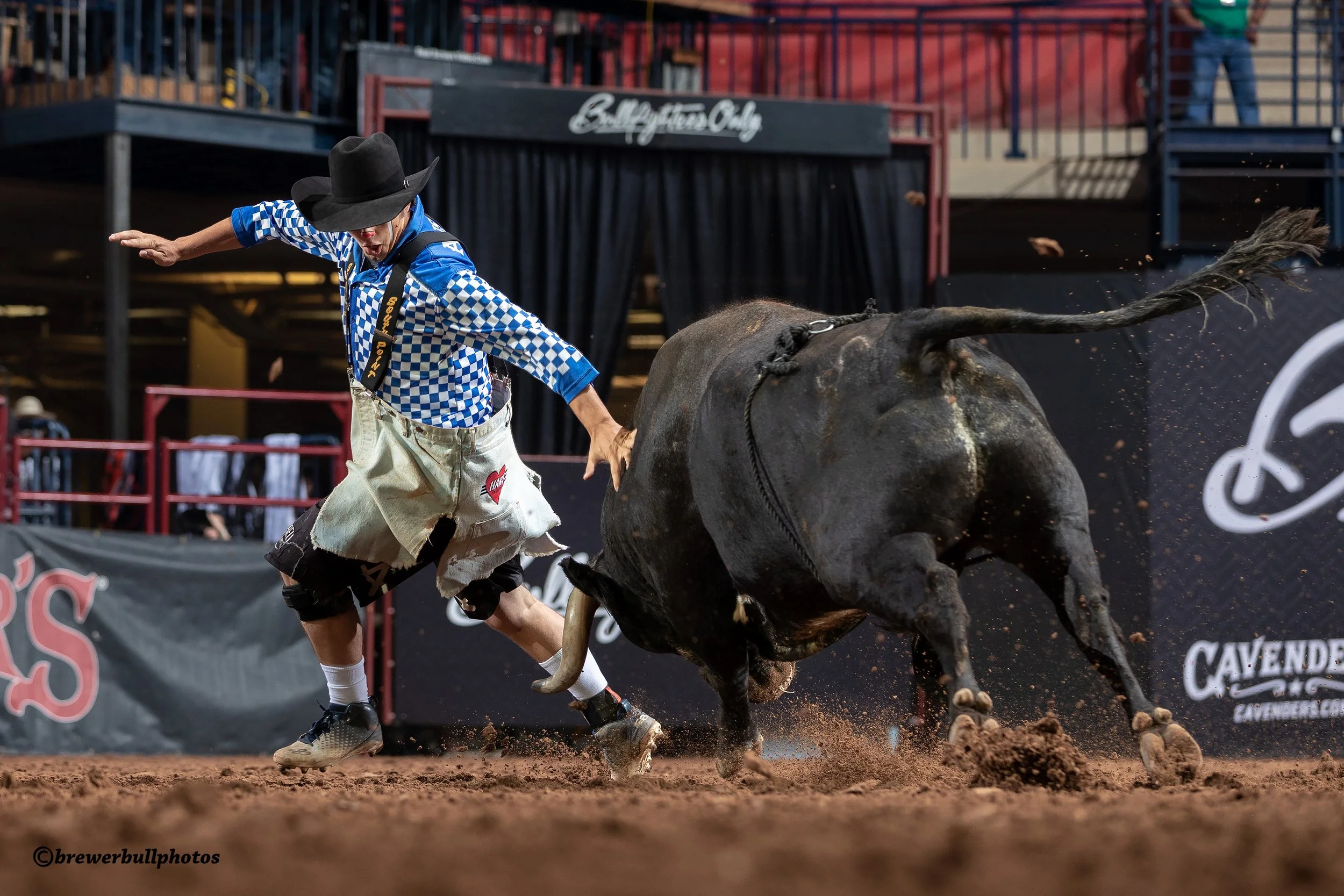 Bull Fighters Only — RODEO WORLD