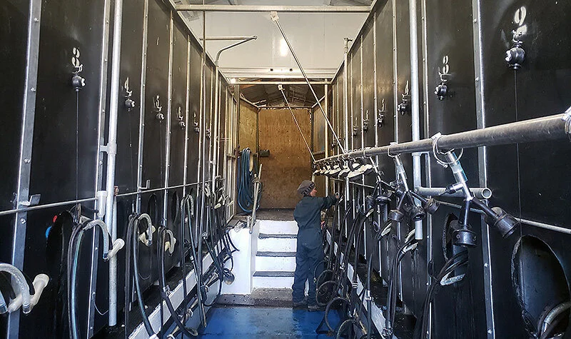 About our Deer Milk — Deer Milking New Zealand