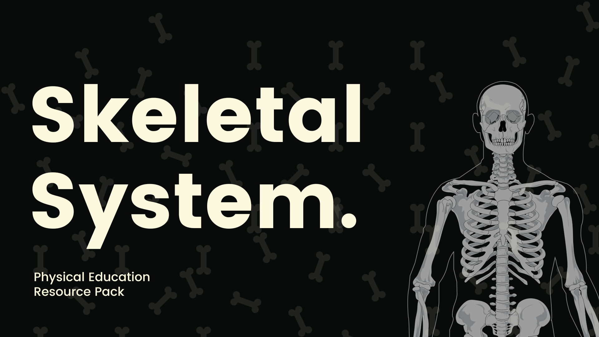 Skeletal System Resource Pack — SubjectResources.com