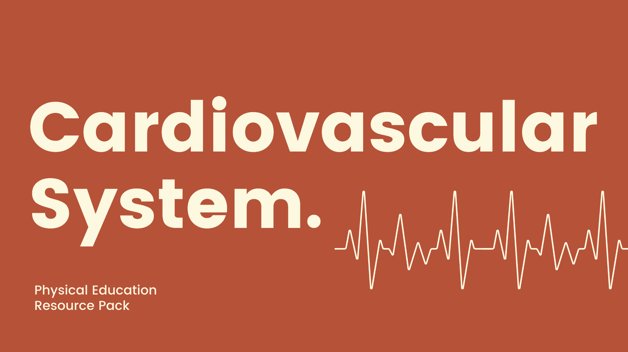 5 x Physical Education Bundle — SubjectResources.com