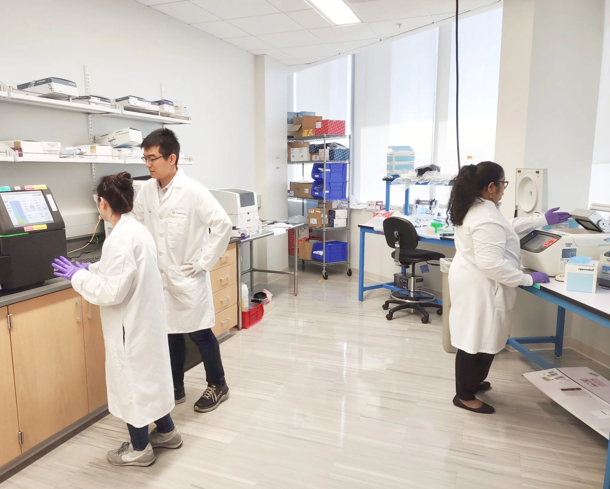 Antibody Development — TrueBinding