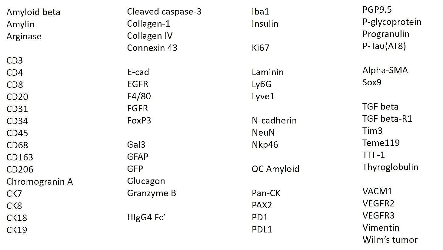 Services — TrueBinding